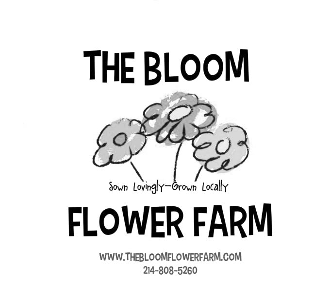 Dahlia Seeds – The Bloom Flower Farm